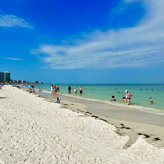 The gentle slope into the Gulf makes Clearwater ideal for families—where toddlers can splash safely while teenagers venture further into the turquoise playground.
