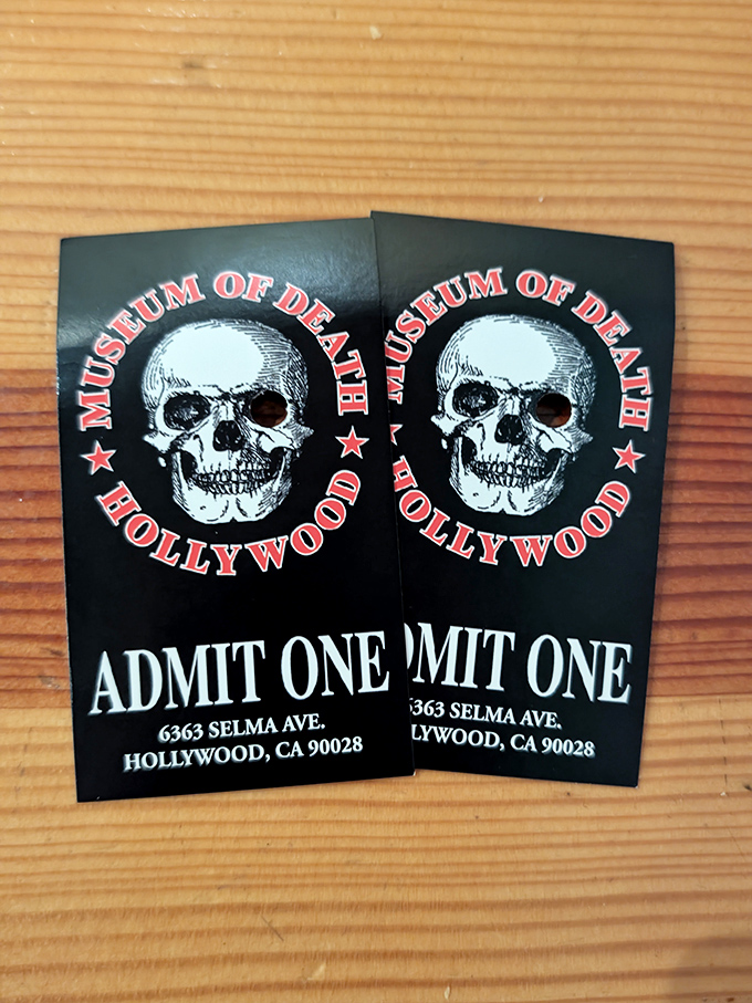 Your ticket to the afterlife... or at least a fascinating afternoon exploring humanity's relationship with mortality. The skull logo sets the tone perfectly.