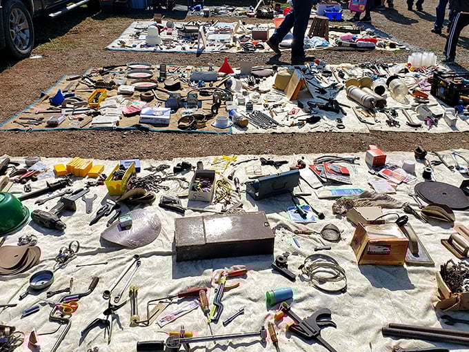 One person's forgotten toolbox becomes another's mechanical museum, where every wrench tells a story of honest work and weekend projects.