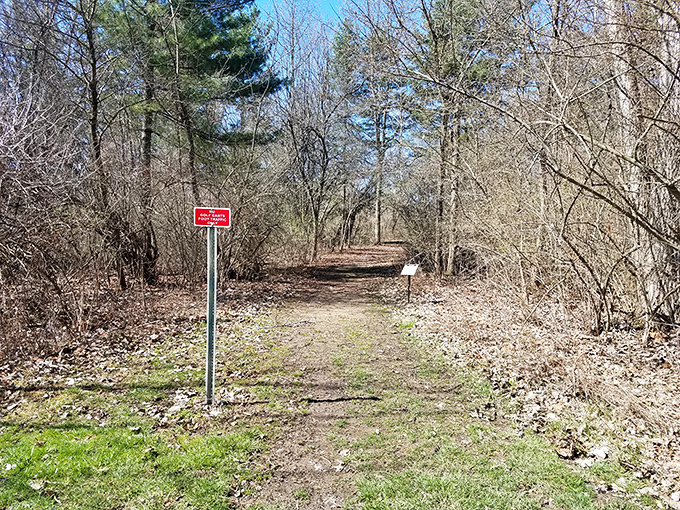 The trail beckons with that "follow me, something wonderful awaits" promise that's impossible to resist, even for dedicated couch enthusiasts.