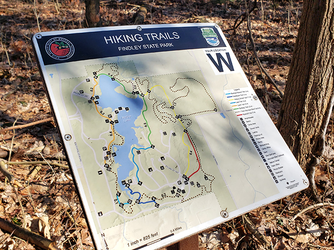Choose your own adventure! This trail map is basically Netflix for hikers – endless options without the "still watching?" judgment.