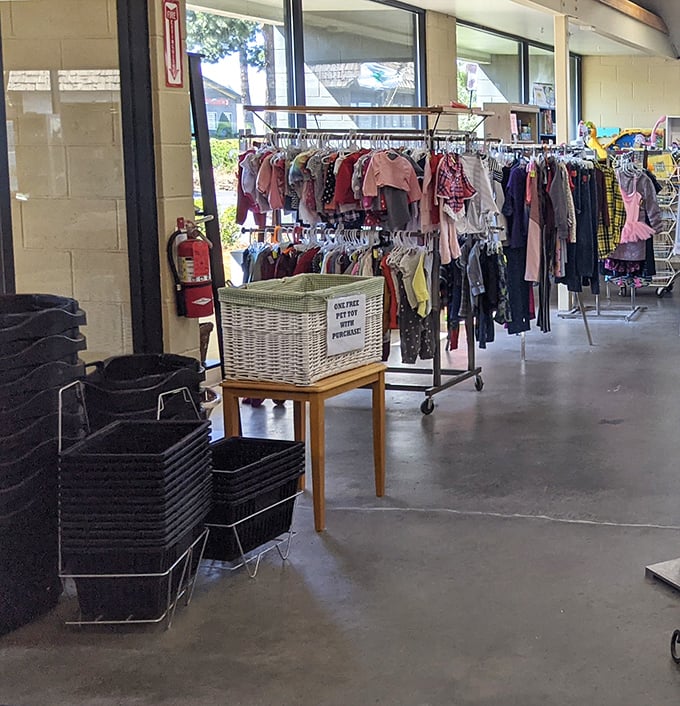 Welcome to organized chaos where every aisle promises adventure and your wallet stays surprisingly plump.