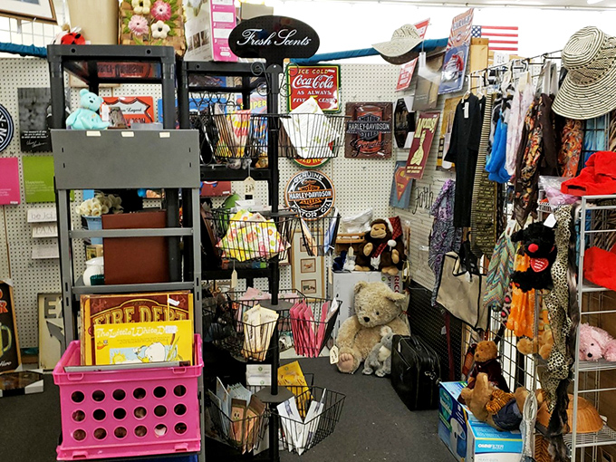 A collector's corner where nostalgia meets necessity. Vintage Coca-Cola signs neighbor plush teddy bears in this delightful jumble of memorabilia that spans generations.