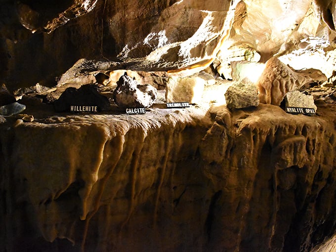 Mother Nature's jewelry collection on display! These mineral formations labeled for curious visitors showcase Earth's slow but spectacular craftsmanship.