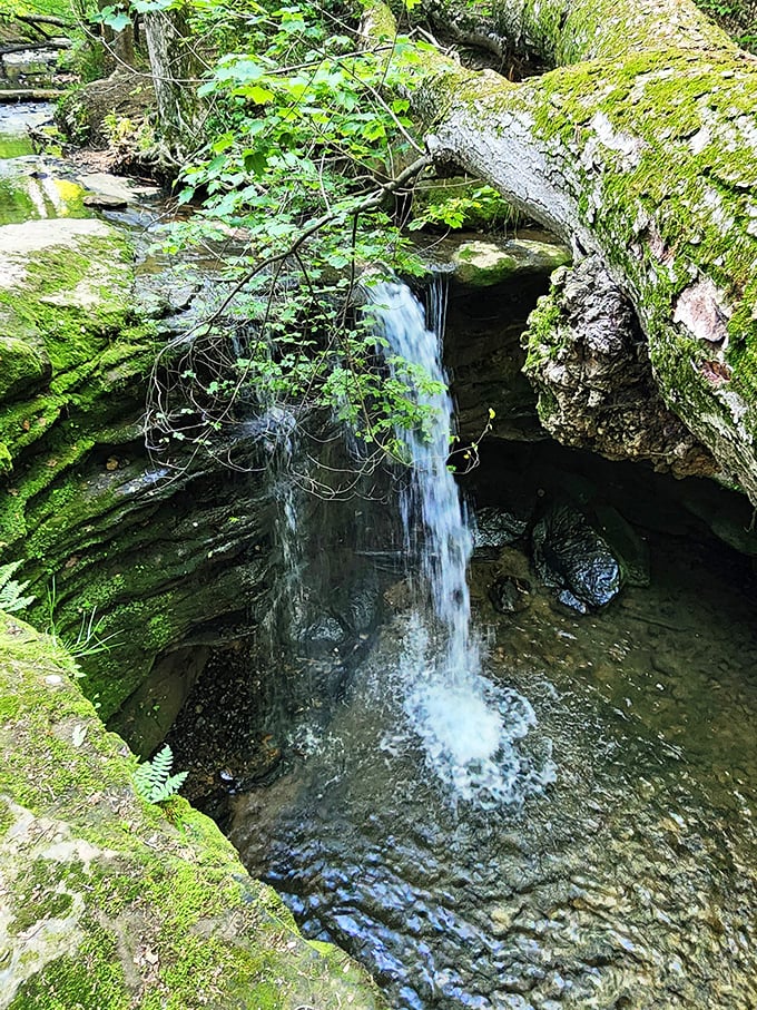 The view from above reveals nature's artistry &ndash; a perfect ribbon of water slicing through layered rock that tells Ohio's geological story. 