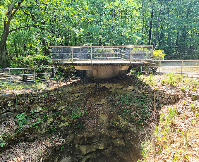 Standing at the edge of time. The viewing platform offers a safe perch to peer into this remarkable geological cavity formed millennia ago.