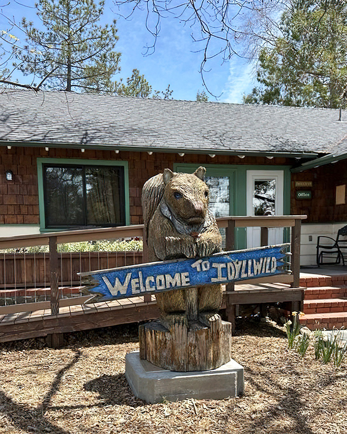 This wooden bear greeter has the best job in town &ndash; standing in sunshine all day while holding the most honest welcome sign in California.