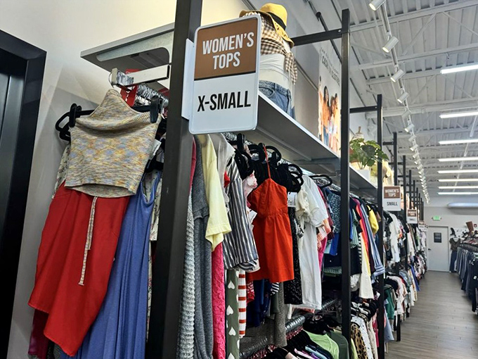 Size matters, especially when hunting for that perfect top. This organized section makes finding your fit less like searching for Bigfoot.