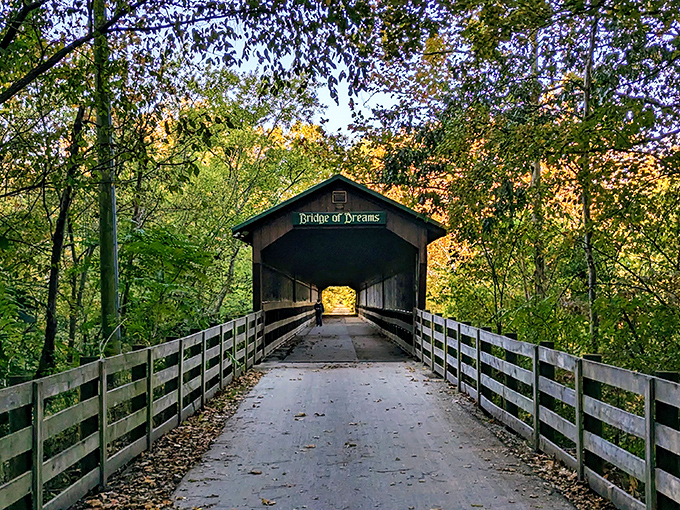 "Bridge of Dreams" isn't overselling it—this wooden tunnel practically whispers promises of adventure ahead.