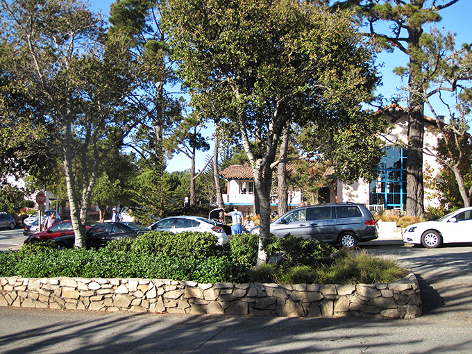 Carmel's tree-lined streets make every walk feel like you're strolling through an enchanted forest that happens to have boutiques.