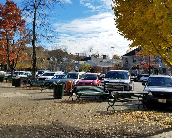 Fall foliage and park benches—nature's way of saying "put down that phone and look around for a minute."