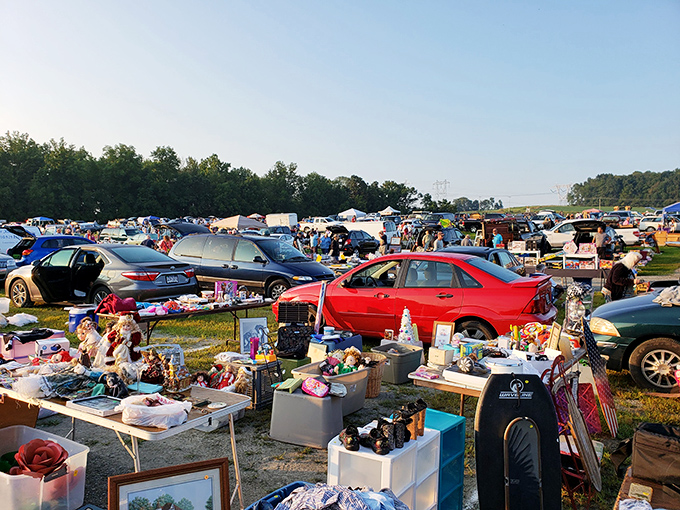 Flea market from above! Jake's aerial view reveals the impressive scale of vendors, vehicles, and visitors all joining the treasure hunt.
