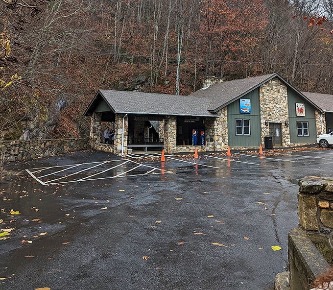 You can see the charming stone entrance nestled against the wooded hillside, where your subterranean journey into the mountain begins.
