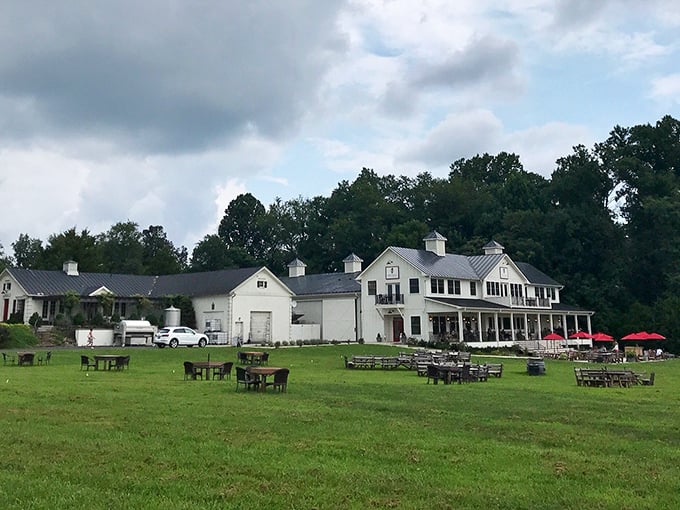 Middleburg's countryside estates and rolling hills make city dwellers wonder if they've been living life all wrong.