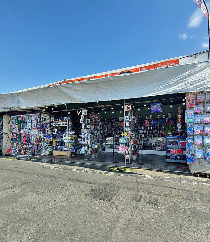 Blue skies and better deals! Paramount Swap Meet has rows of tents where vintage treasures await discovery.
