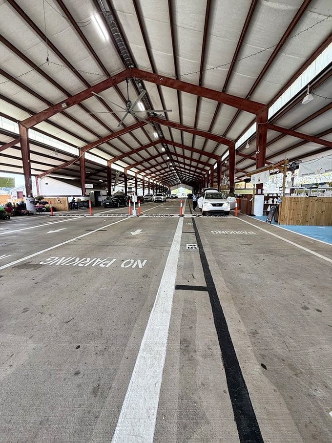 Books and baubles galore! Pee Dee's vendors arrange their treasures like librarians of the unexpected and wonderful.