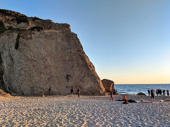 Point Dume's dramatic cliffs stand sentinel over the Pacific, offering breathtaking views that have starred in countless Hollywood productions.