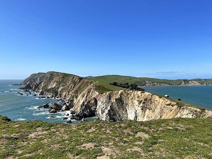 Wild, untamed California coastline that makes you wonder if dinosaurs might still roam just around the bend.
