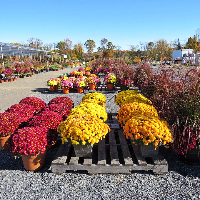 Under blue skies, vendors arrange their wares like museum curators&mdash;except here, everything has a price tag and a story.