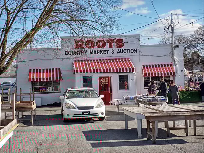 Root's outdoor market: where social distancing happens naturally because everyone's too busy eyeing that perfect find.