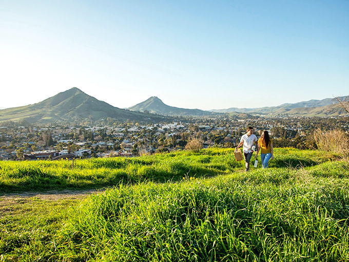 San Luis Obispo's rolling green hills cradle the town like nature's version of a protective hug.