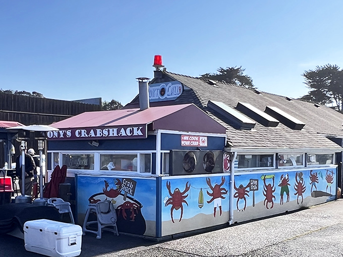 Tony's Crab Shack wears its specialty on its walls. Those painted crabs aren't just decoration—they're an appetizing preview.