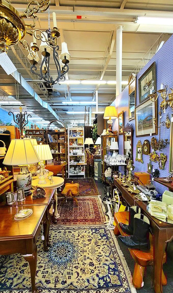 West End's elegant displays showcase everything from fine china to statement furniture. Decorators, take note!