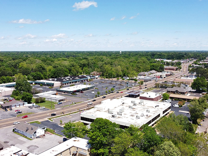 A bird's-eye view of Bartlett &ndash; suburban serenity with just enough bustle to keep things interesting.