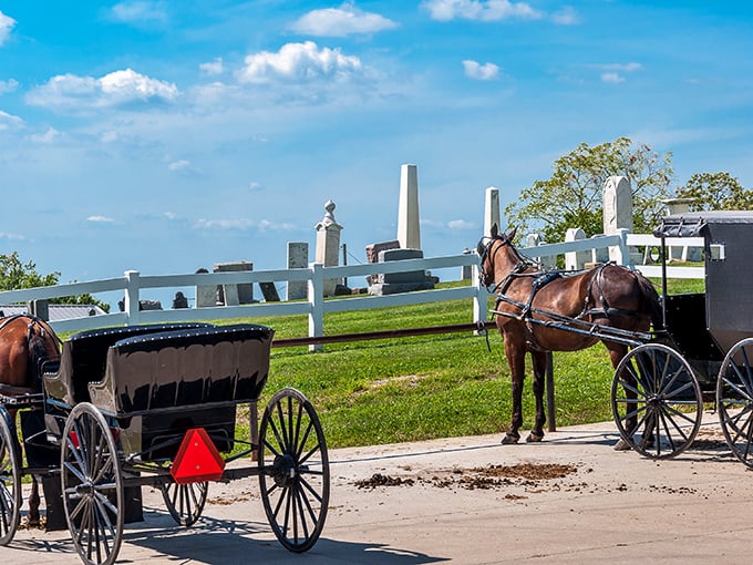 Amish buggies parked outside a cemetery. Even in moments of reflection, the simple transportation speaks volumes about their way of life.
