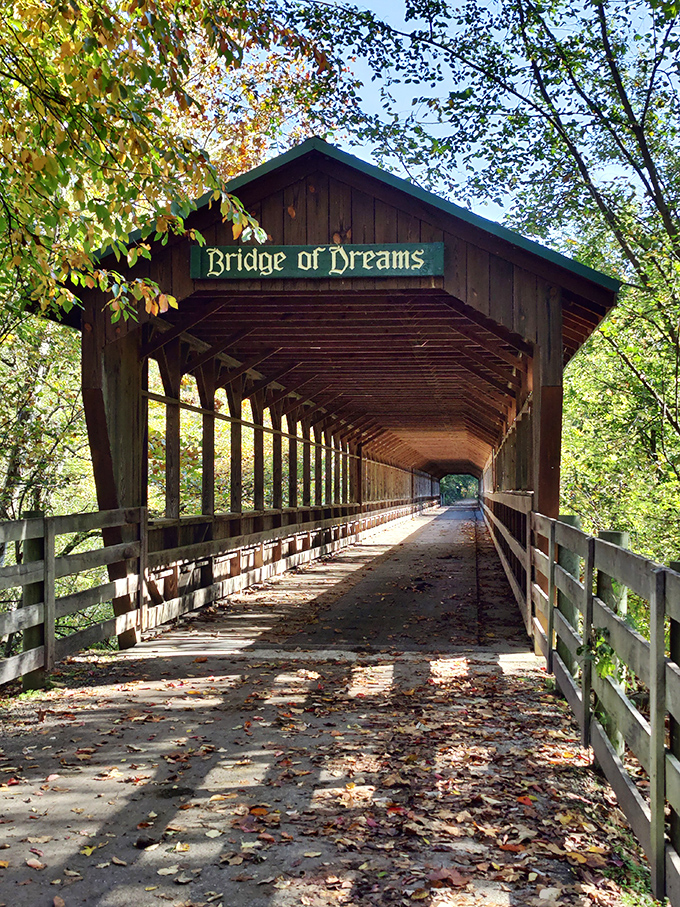 Sunlight playing peekaboo through wooden slats creates nature's own light show. Worth pulling over for!