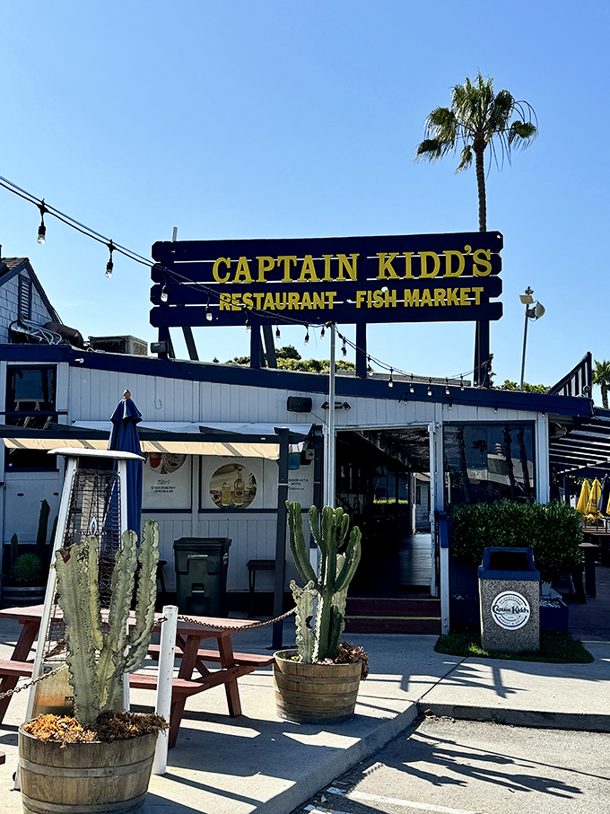 Where fish market meets beachside eatery! Captain Kidd's casual vibe might fool you, but those palm trees have witnessed countless seafood epiphanies.