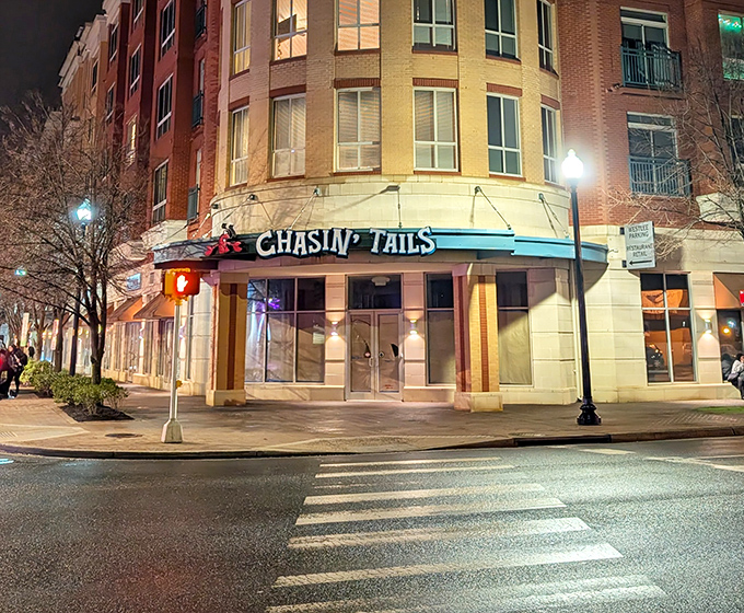 Day or night, the seafood's right! Chasin' Tails glows with promise after dark, beckoning seafood lovers to its downtown corner.