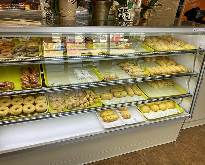 Behold the treasure trove of donut perfection! Each tray offers a different path to breakfast bliss.