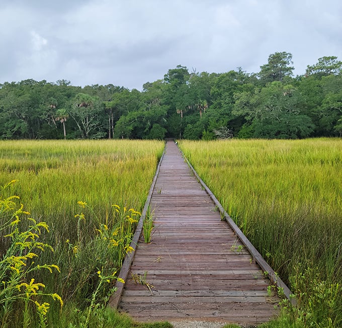 Edisto Beach State Park: This wooden boardwalk through golden marshes feels like walking through a painting that changes with every season.