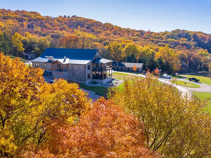 Autumn paints Hermann's landscape in brilliant colors, creating a postcard-perfect scene of Midwestern wine country splendor. 