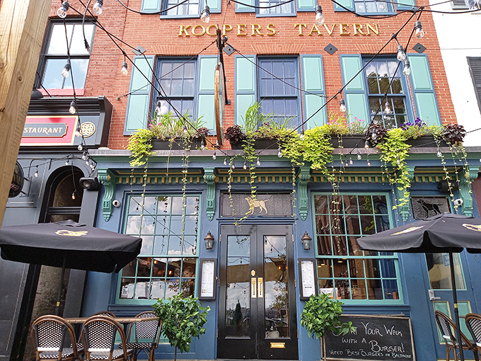 The hanging plants and classic signage at Kooper's create instant curb appeal. It's like the building is saying, "Trust me, I've got stories."