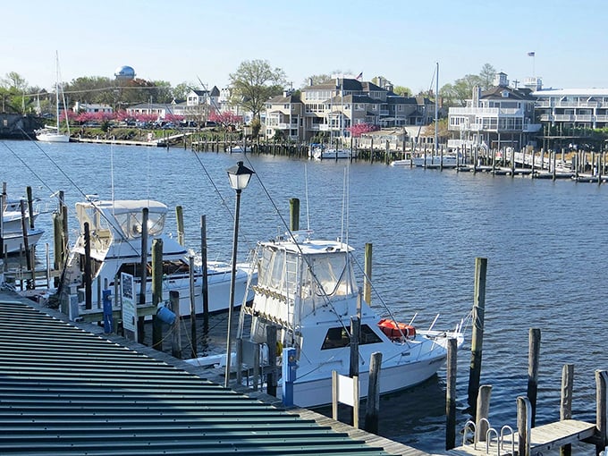 A peaceful bench invites you to sit and ponder life's big questions, or just watch the ripples on the water.