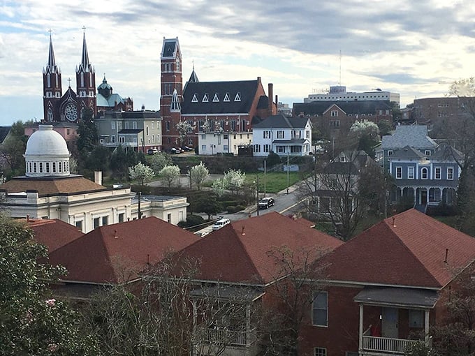 Macon's skyline showcases a delightful jumble of historic spires and modern buildings. A little bit of history in every direction you look!