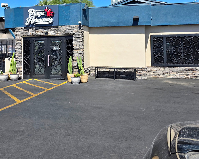 Desert cacti stand guard outside Playa Hermosa's blue sanctuary. Inside awaits seafood so authentic, you'll swear you hear ocean waves.