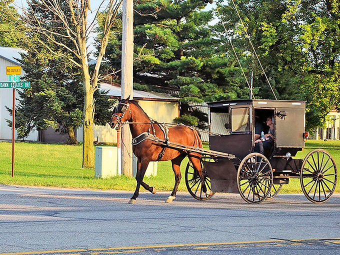 A classic Amish buggy navigates Middlebury's streets&mdash;the original eco-friendly transportation that never needs a charging station!