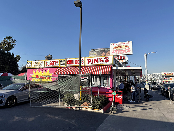 Pink's vibrant exterior is as bold as its legendary toppings. Hollywood stars and hungry locals agree – this is hot dog royalty.