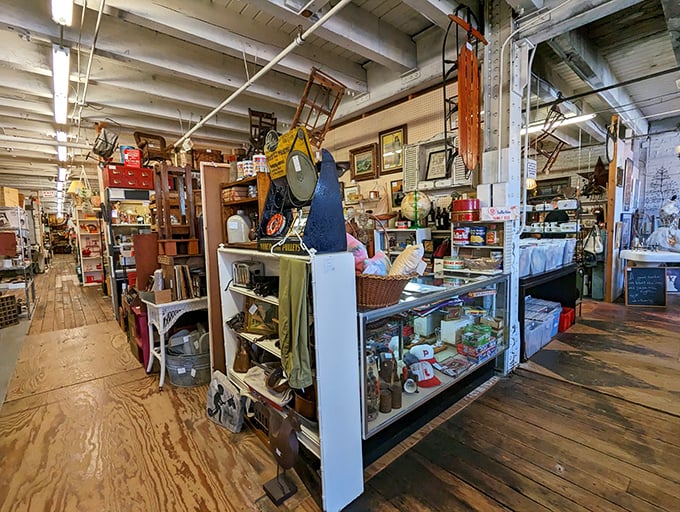 Books and memories pile high like literary gold mines begging for exploration. 