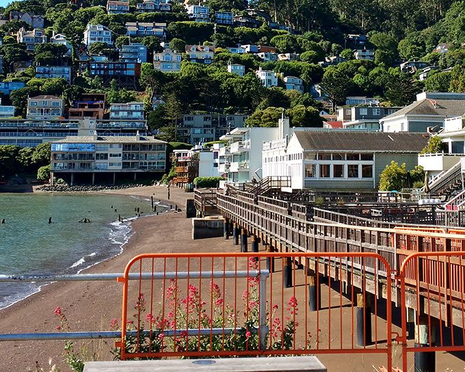 Marin County's floating village offers Golden Gate views that make ferry rides feel like mini-vacations. 