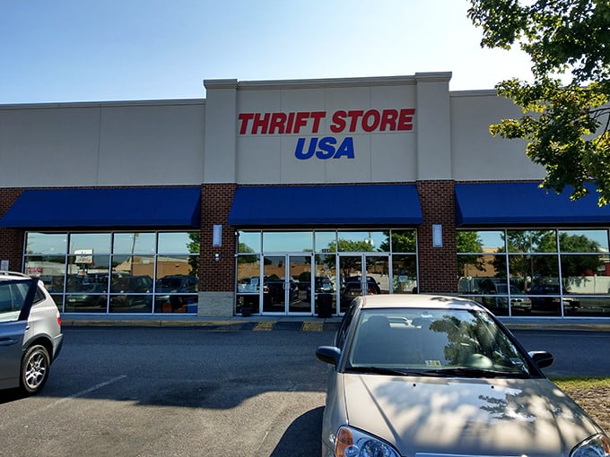 Morning light bathes Thrift Store USA in possibility. Each visit offers a different treasure map to unexpected finds.