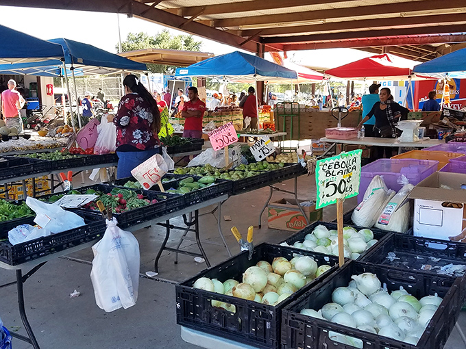 Fresh produce paradise! Vibrant vegetables and fruits create a rainbow of healthy options for savvy shoppers.
