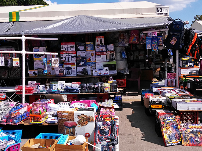 Where Miami's melting pot comes alive! Tropicana's corridors buzz with the energy of countless cultural treasures.