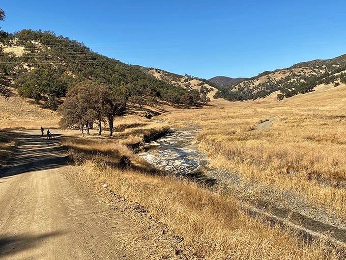 Rolling oak-studded hills create the perfect backdrop for this authentic Old West soaking experience.