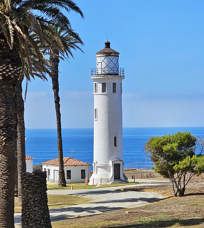 Up close and personal with this maritime masterpiece. Like meeting a celebrity you've only seen on postcards, but somehow more impressive in real life.