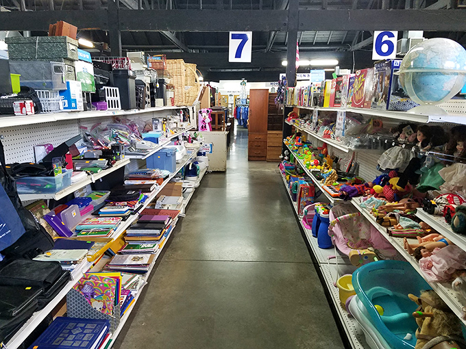 Aisle 7 meets Aisle 6 in this thrifter's paradise, where forgotten toys and nostalgic treasures create a museum of recent history.