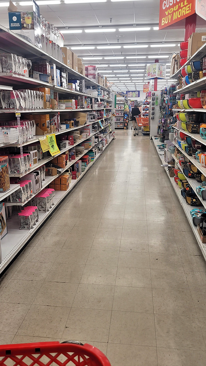 Aisle after glorious aisle of possibilities. The concrete floors may be simple, but they've been worn smooth by thousands of savvy bargain hunters.